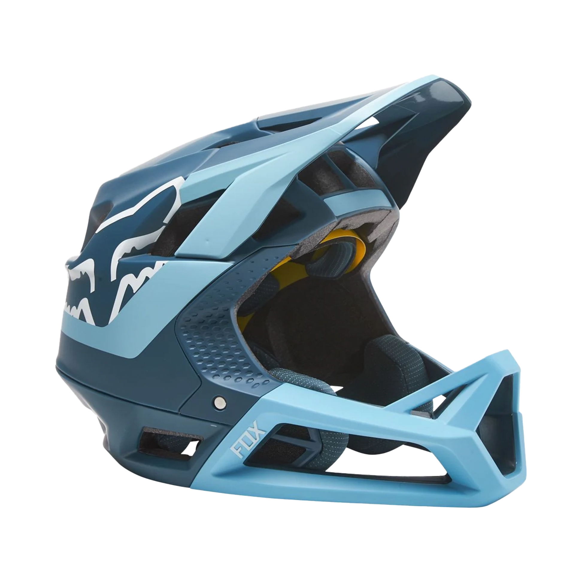 Fox ProFrame Full Face MIPS Helmet – eevee's
