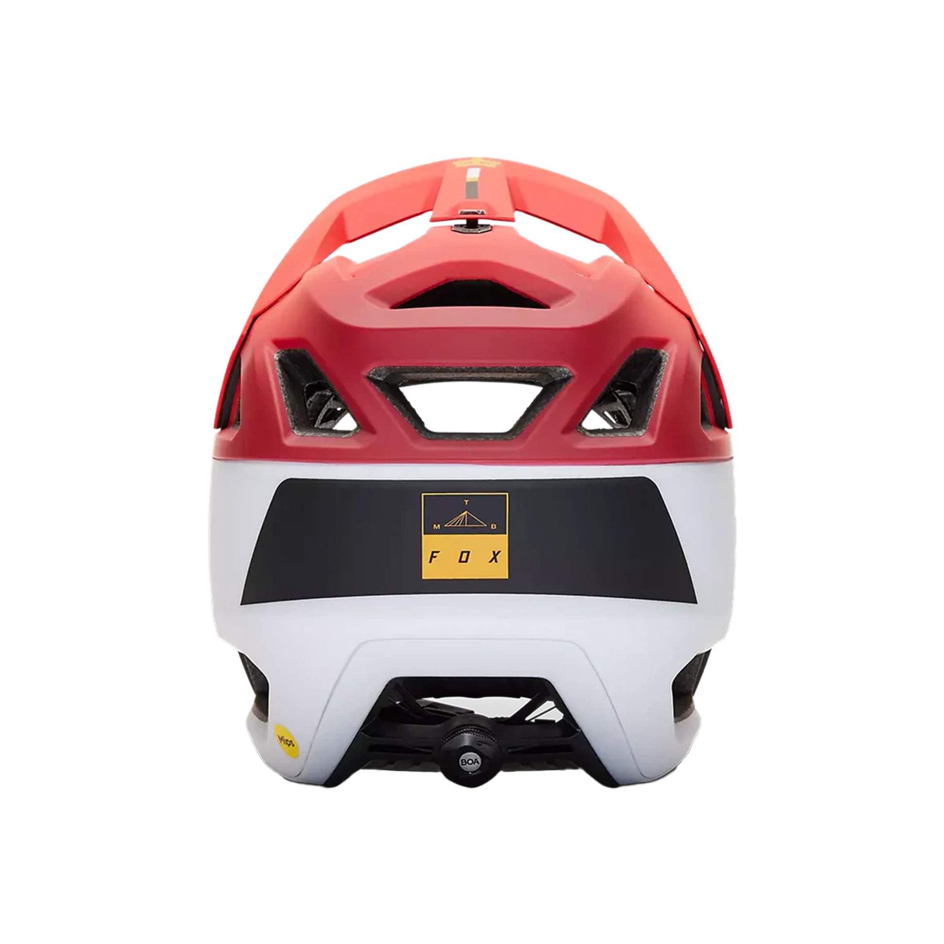 Fox ProFrame RS CLYZO Full Face MIPS Helmet – eevee's