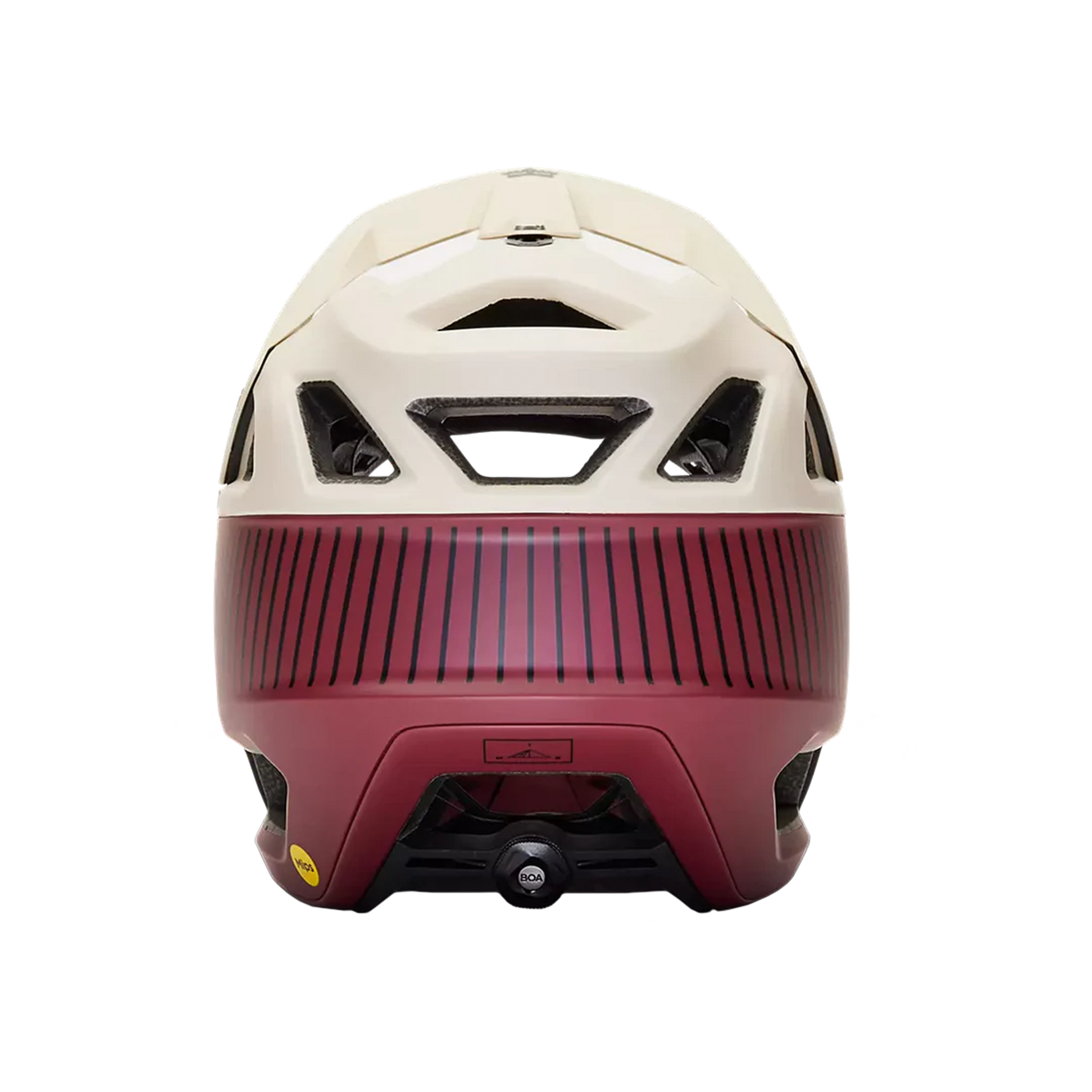 Fox ProFrame RS MASH Full Face MIPS Helmet – eevee's