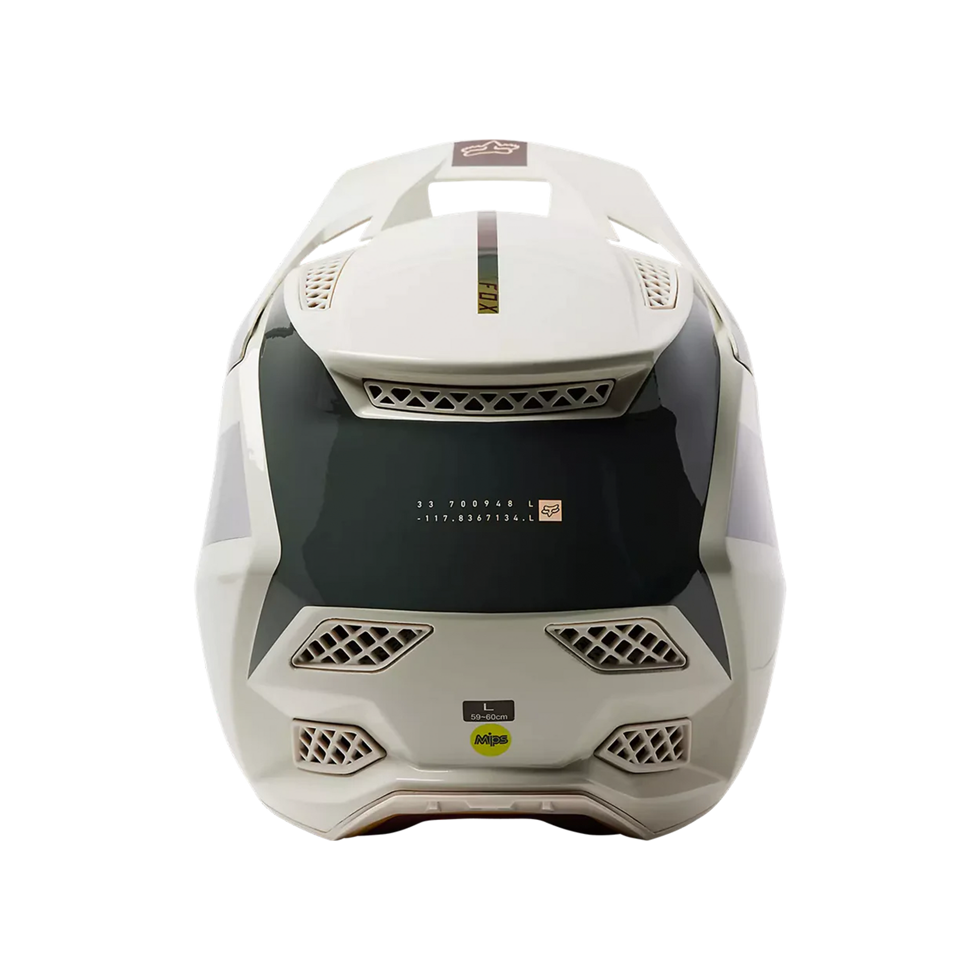 Fox Rampage Pro Carbon MIPS GLNT Helmet – eevee's