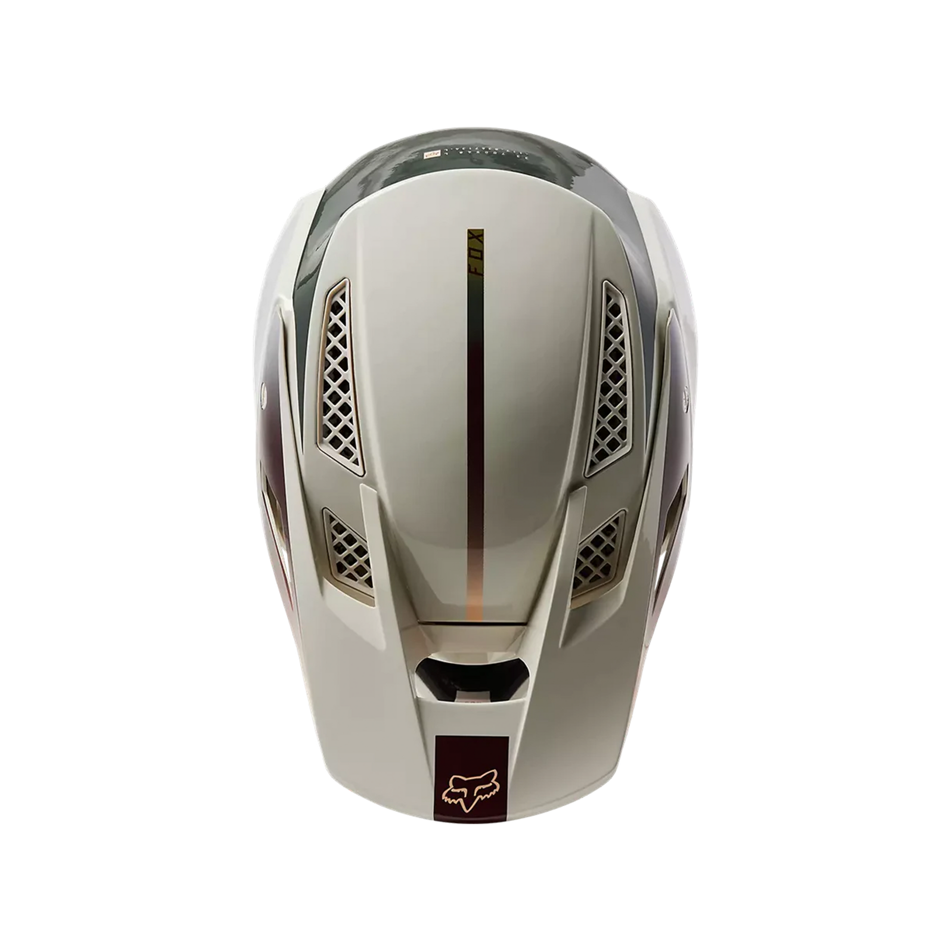 Fox Rampage Pro Carbon MIPS GLNT Helmet – eevee's