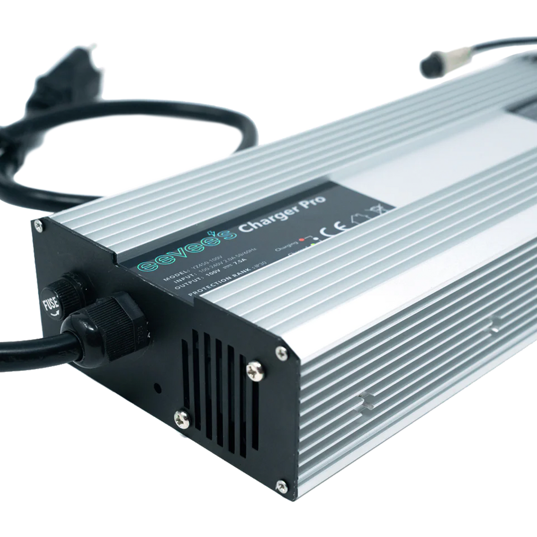 Most Popular - EUC Accessories – eevee's